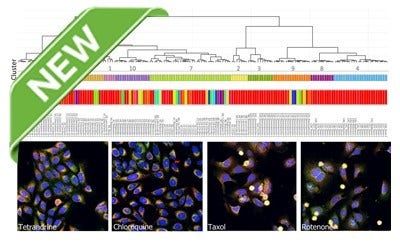 High-content Analysis | HCA
