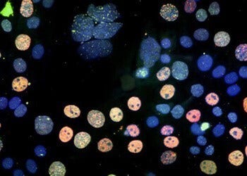 High-content Analysis, HCA | Molecular Devices