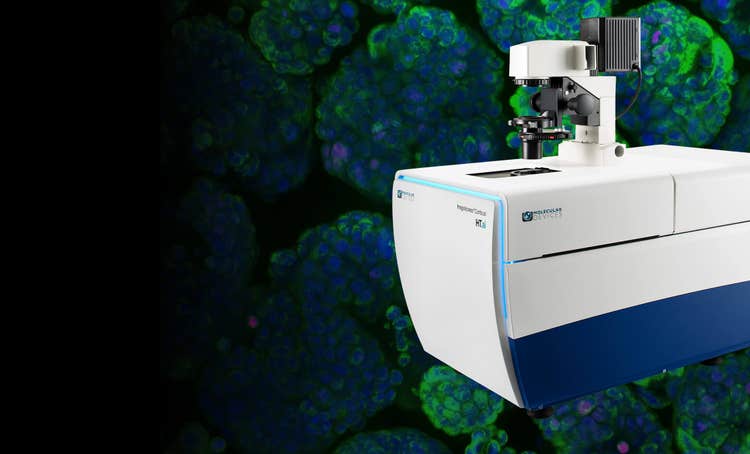 Cellular Imaging Systems, ImageXpress High-Content Imaging and High ...
