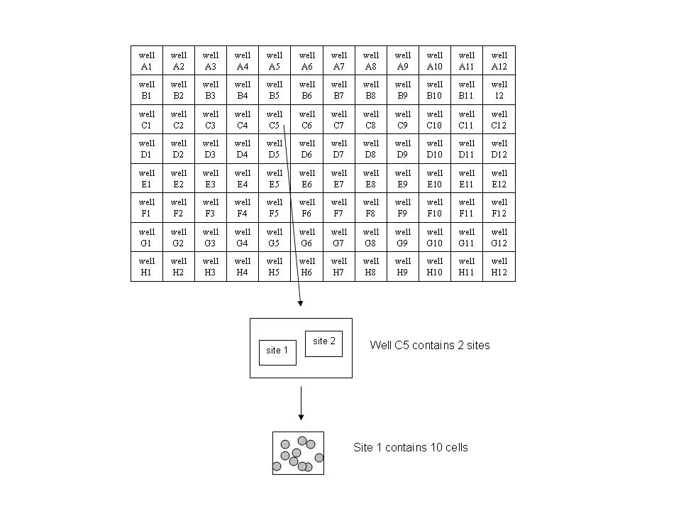 MetaXpress®, AcuityXpress™: Requirements for the Importation of ...