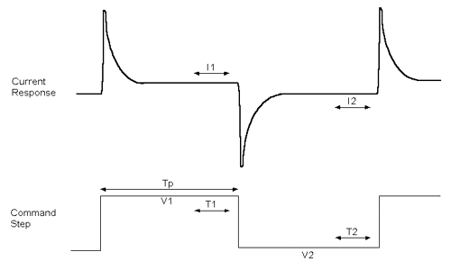 Membrane Test Algorithms