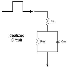 Membrane Test Algorithms