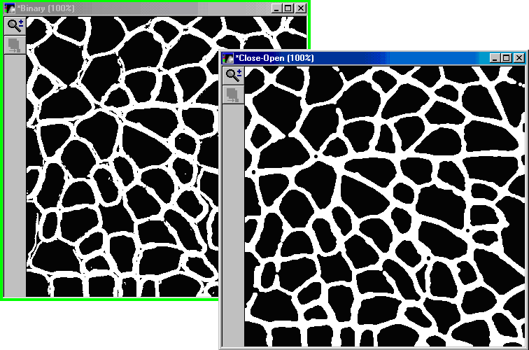 Using the Morphology Filters in the MetaMorph® Software