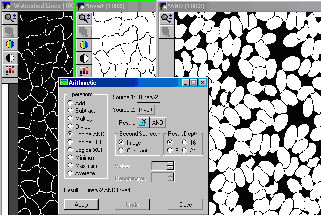 Using the Morphology Filters in the MetaMorph® Software