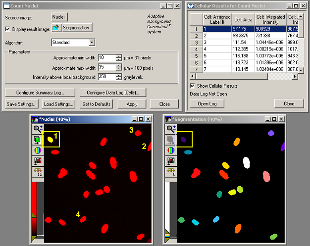 Using the Standard and Fast algorithms in the MetaXpress®, MetaMorph ...