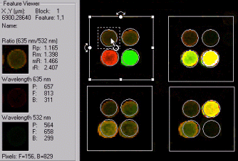 Using the "Save As GenePix Array List" Feature in GenePix Pro