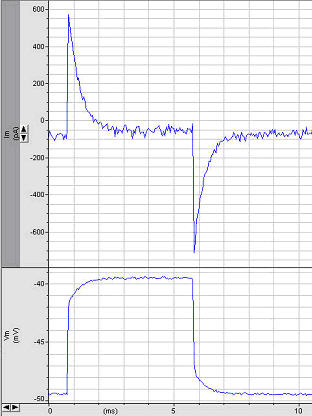 How to use the Axoclamp-2B or 2A for whole-cell patch clamp in ...