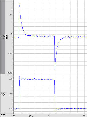 How to use the Axoclamp-2B or 2A for whole-cell patch clamp in ...