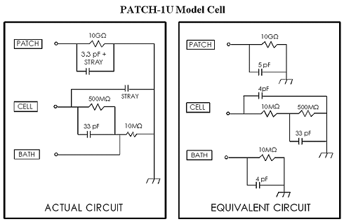 Precision of the Patch-1U Model Cell