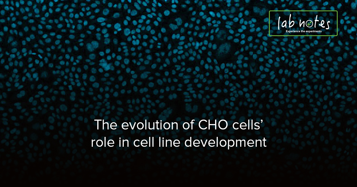 The Evolution of CHO Cells’ Role in Cell Line Development | Molecular ...