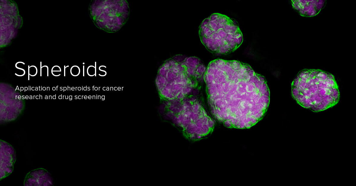 What are Spheroid | Molecular Devices