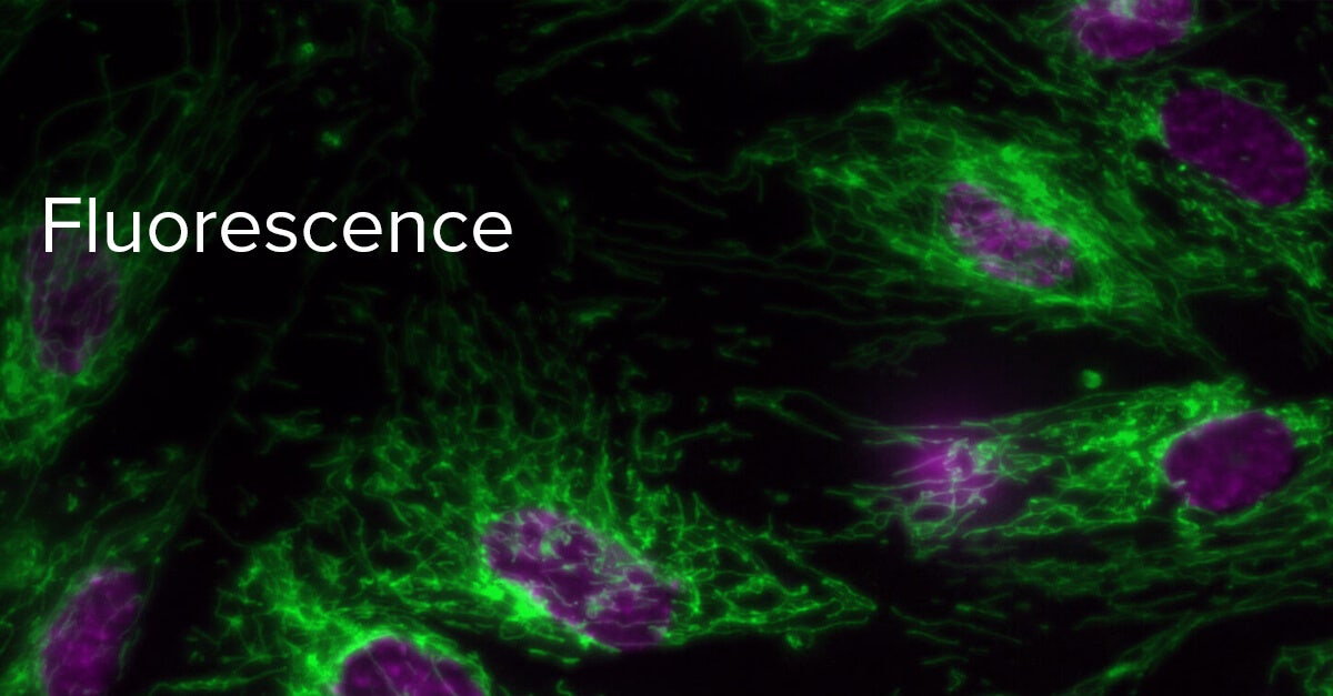 What is Fluorescence, What is a Spectrofluorometer, Fluorescence assays ...