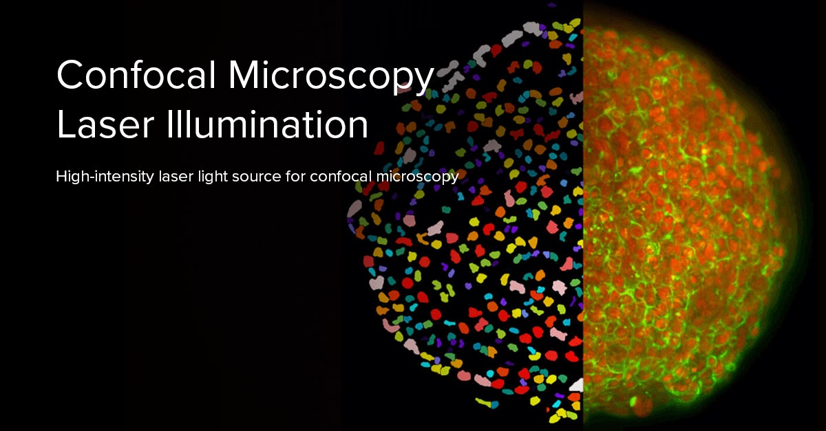 Confocal Microscope Resolution