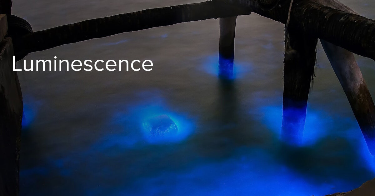 What is Luminescence, Luminometer, Bioluminescence